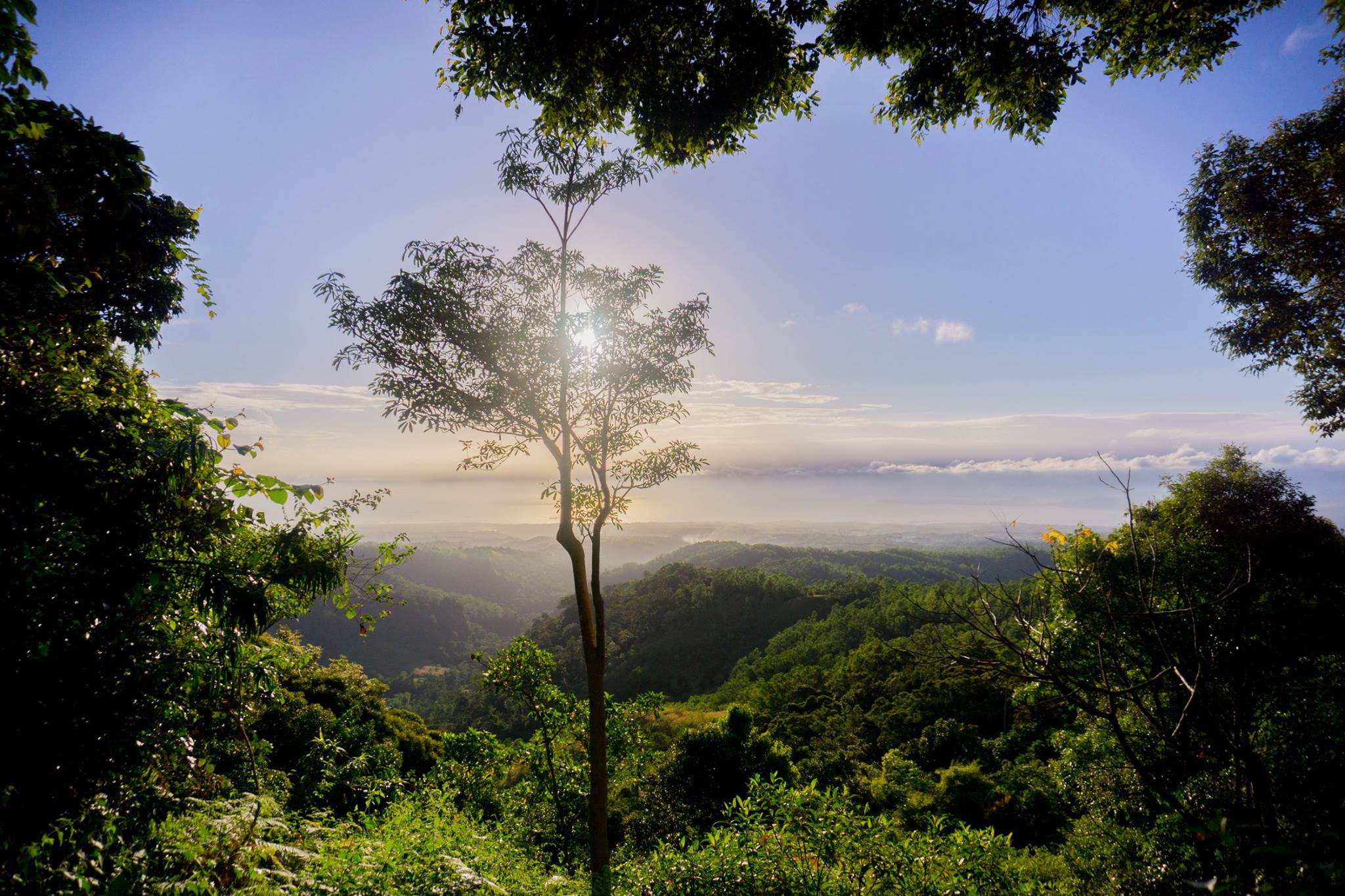 Tarak Ridge - Mariveles, Bataan (Climb Guide + Tips) - ChaseJase