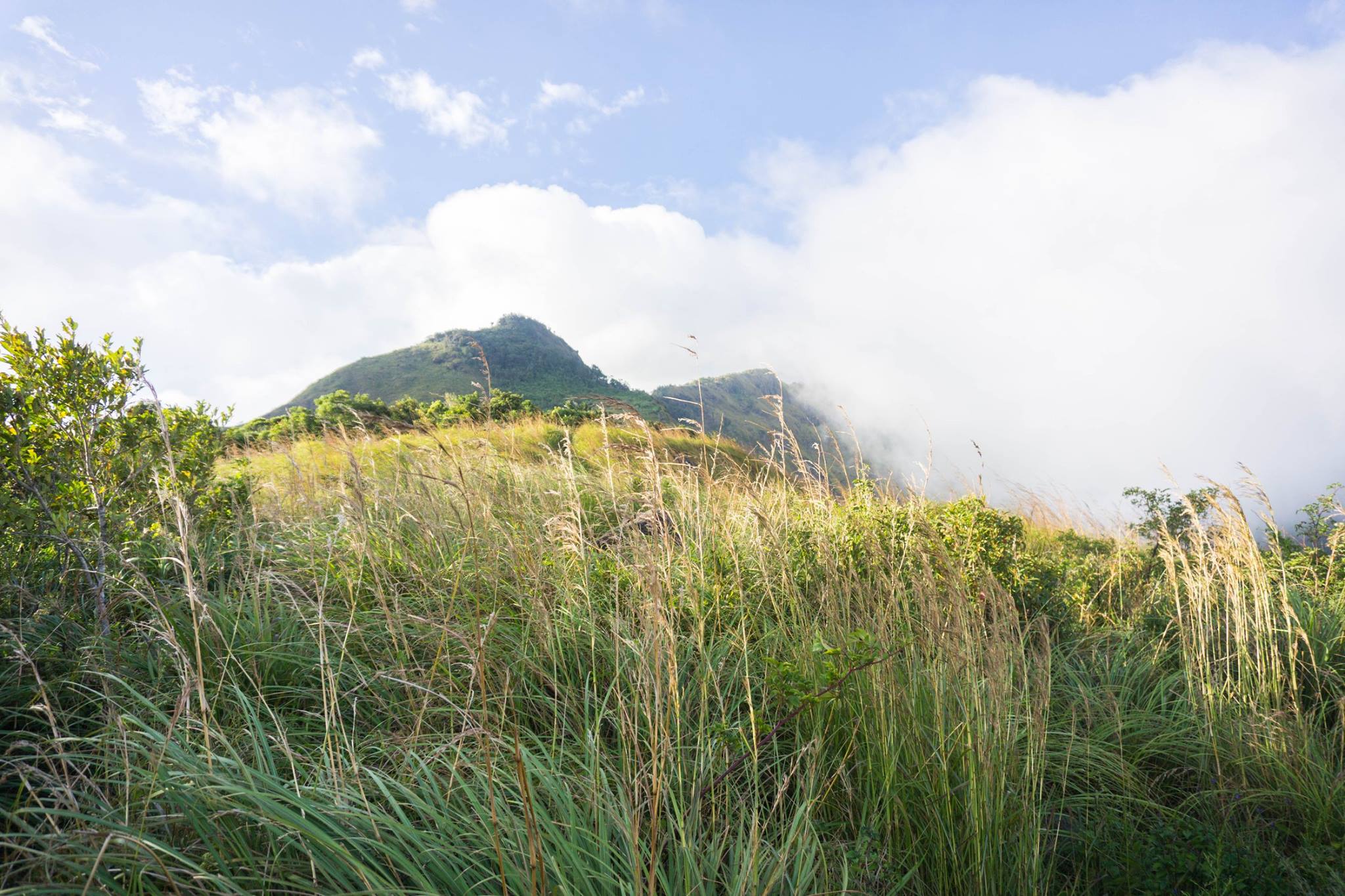 Tarak Ridge - Mariveles, Bataan (Climb Guide + Tips) - ChaseJase